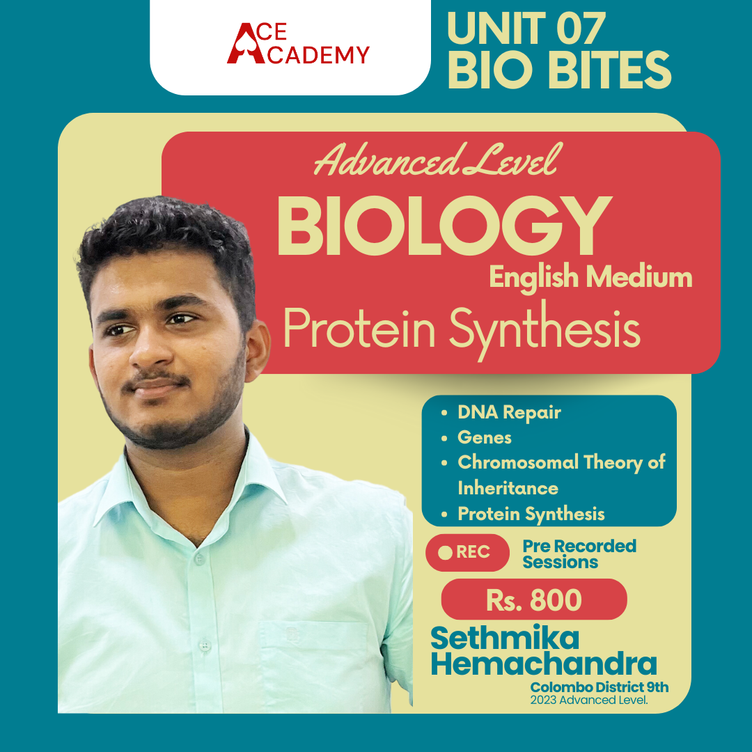 Unit 07 | BIO BITES | Protein Synthesis | Ace Academy