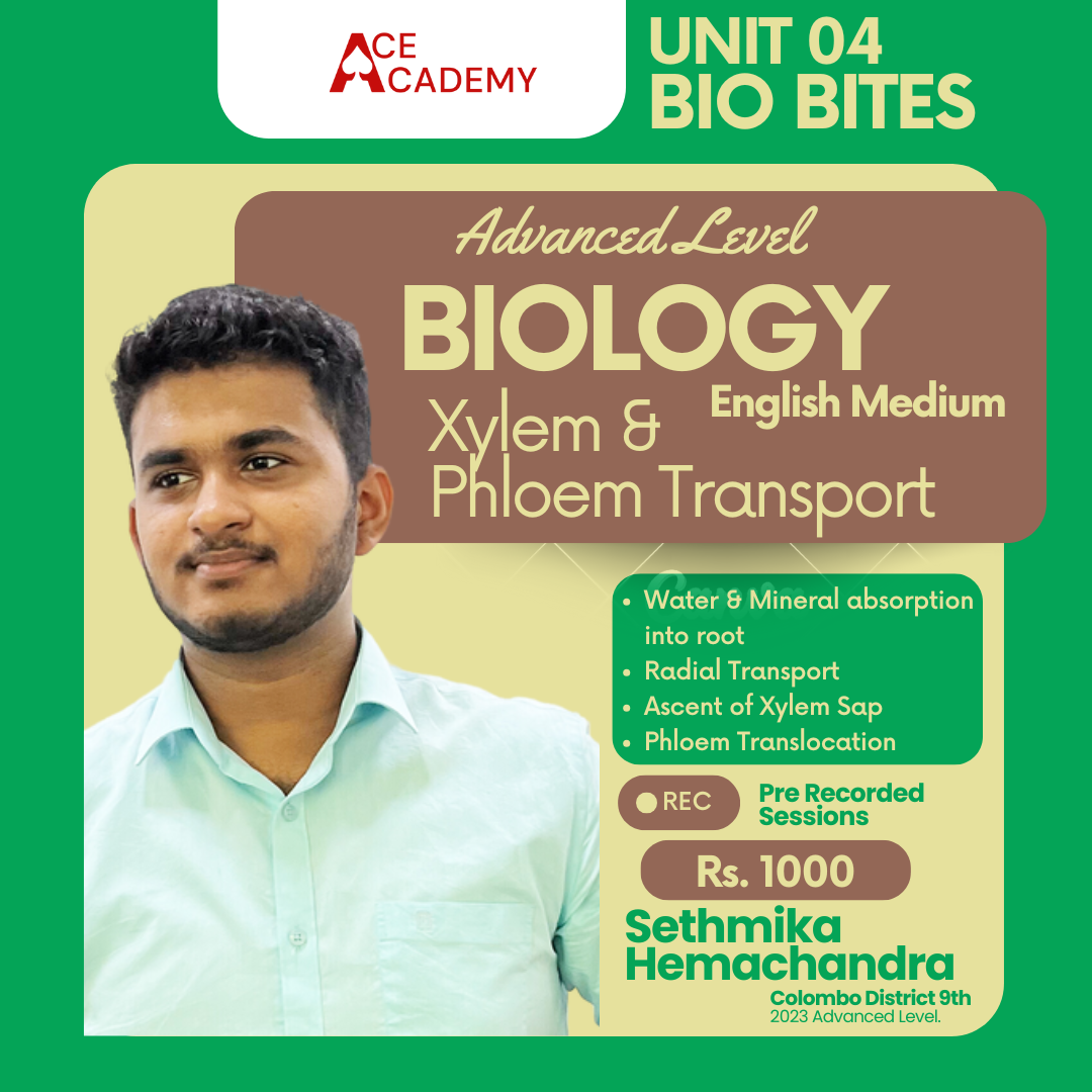 Unit 04 | BIO BITES | Xylem & Phloem Transport | Ace Academy